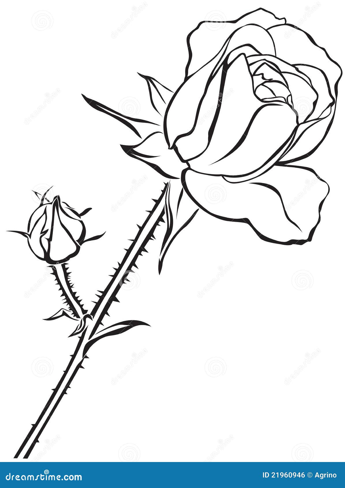 Little rose stock vector. Illustration of graphics, wire - 21960946