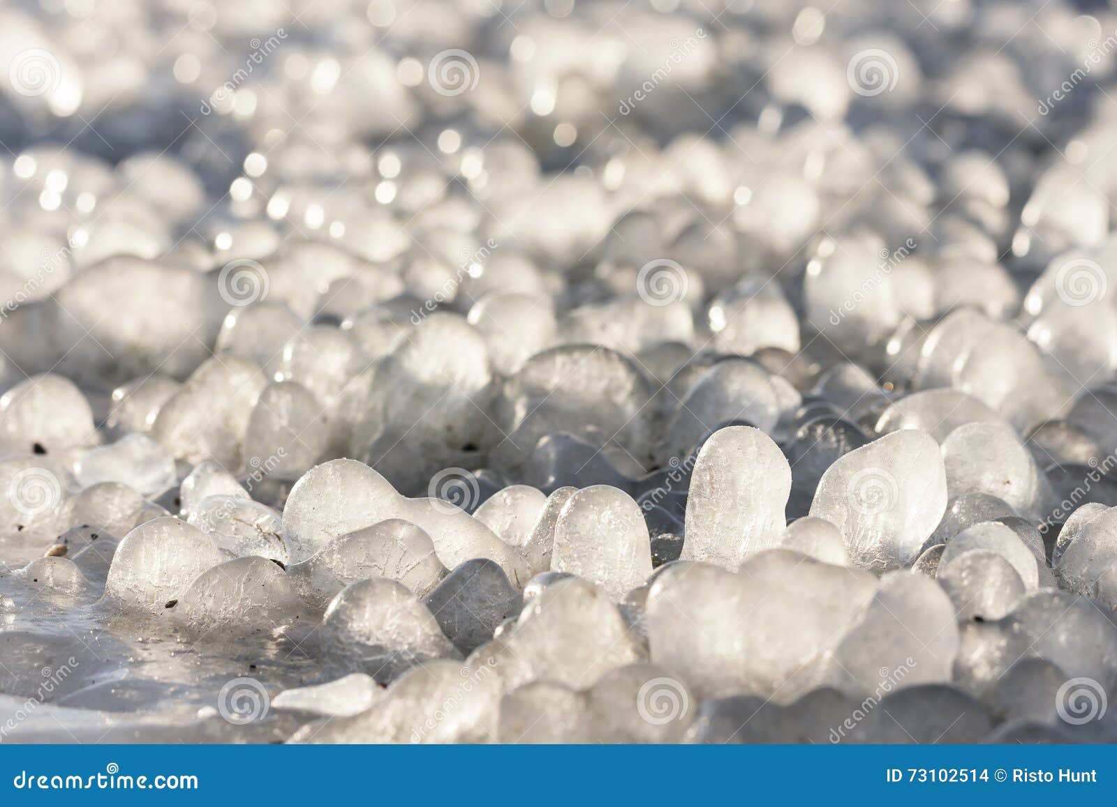 Little Round Icicles on the Ground Stock Photo - Image of shape, frost ...