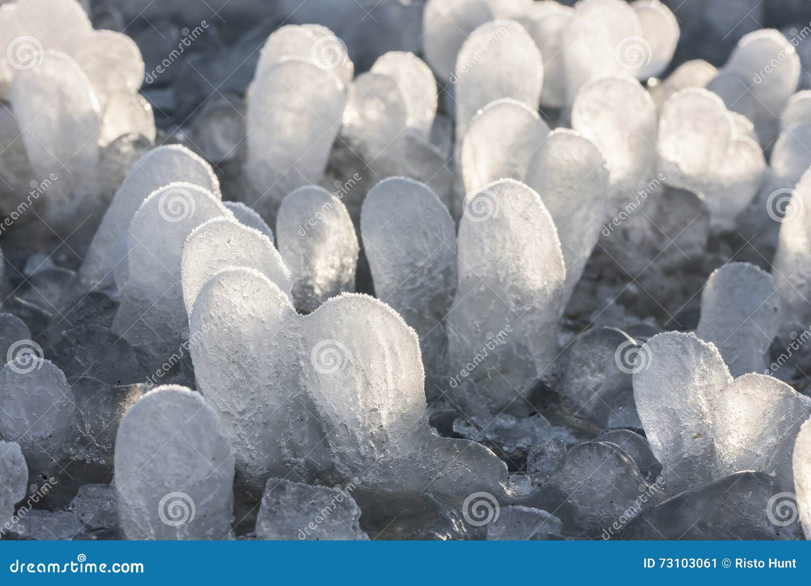 Little Round Icicles on the Ground Stock Image - Image of closeup ...