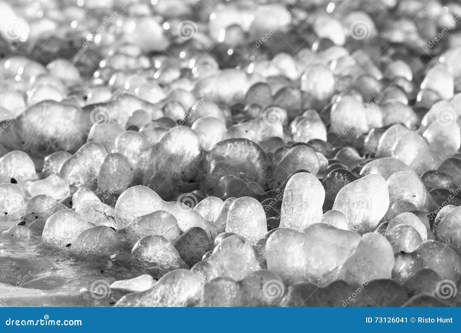 Little Round Icicles on the Ground Stock Image - Image of cold, nature ...