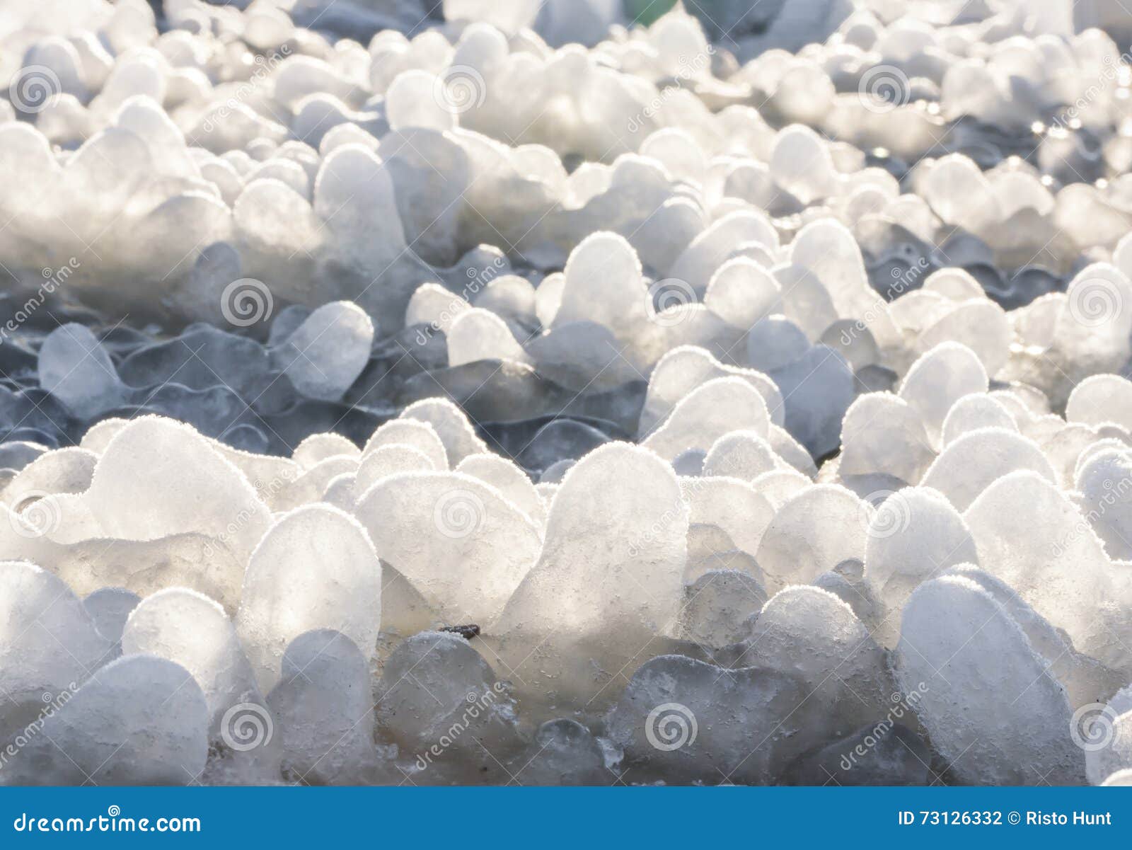 Little Round Icicles on the Ground Stock Photo - Image of frost, little ...