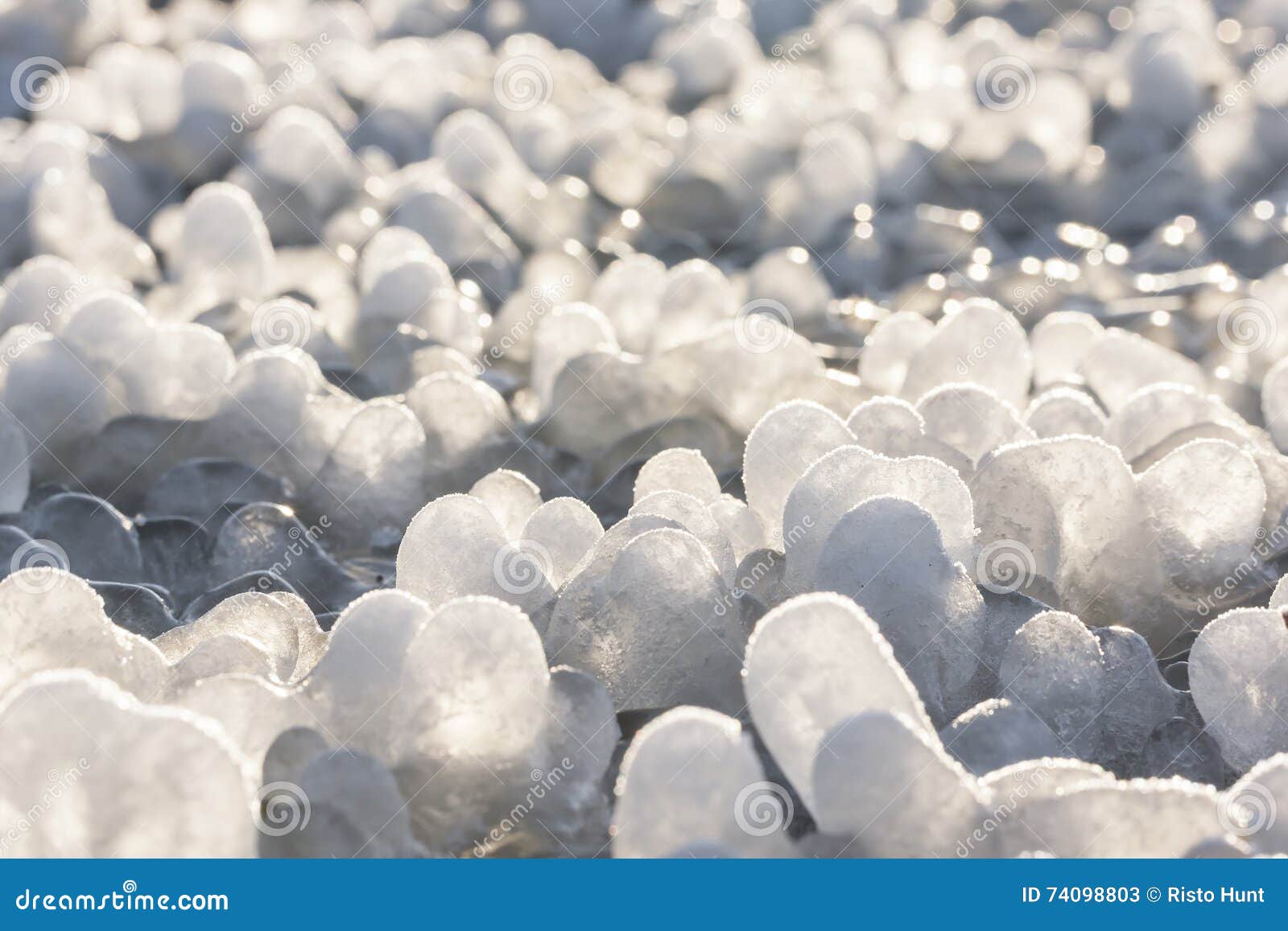 Little Round Icicles on the Ground Stock Image - Image of closeup ...
