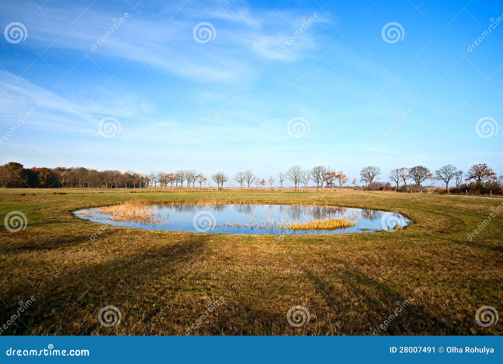 Little round pond stock image. Image of plain, ponk, lake - 28007491