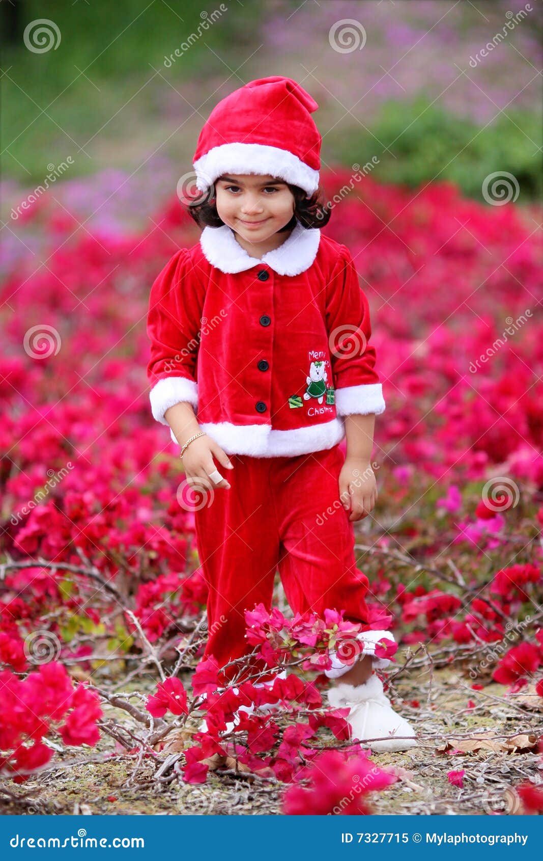 Little santa stock image. Image of card, field, celebrate - 7327715