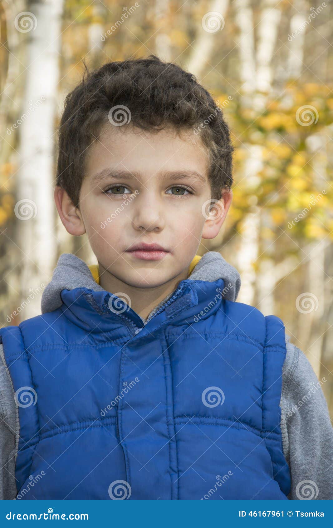 Little Serious Boy in Autumn Forest. Stock Image - Image of love ...
