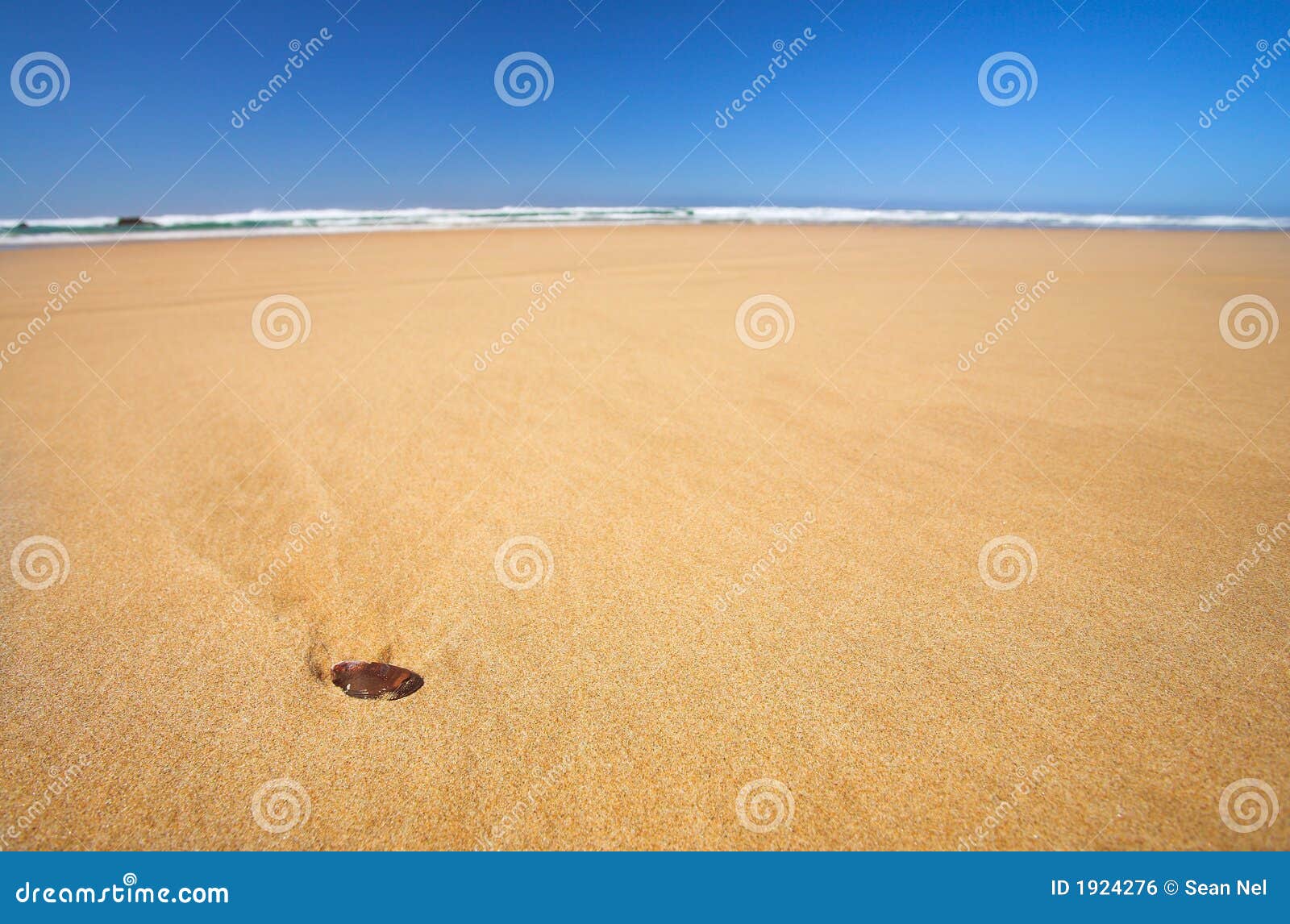 Little Shell on a Flat Beach with Blue Sky Stock Photo - Image of ...
