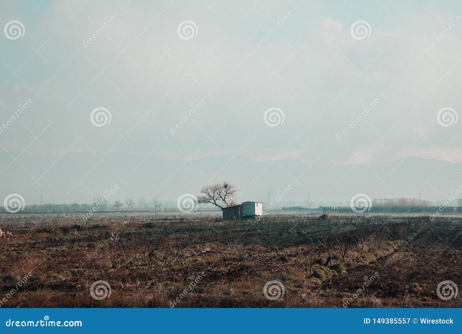 Little Single House Built in a Large Field Stock Image - Image of cute ...