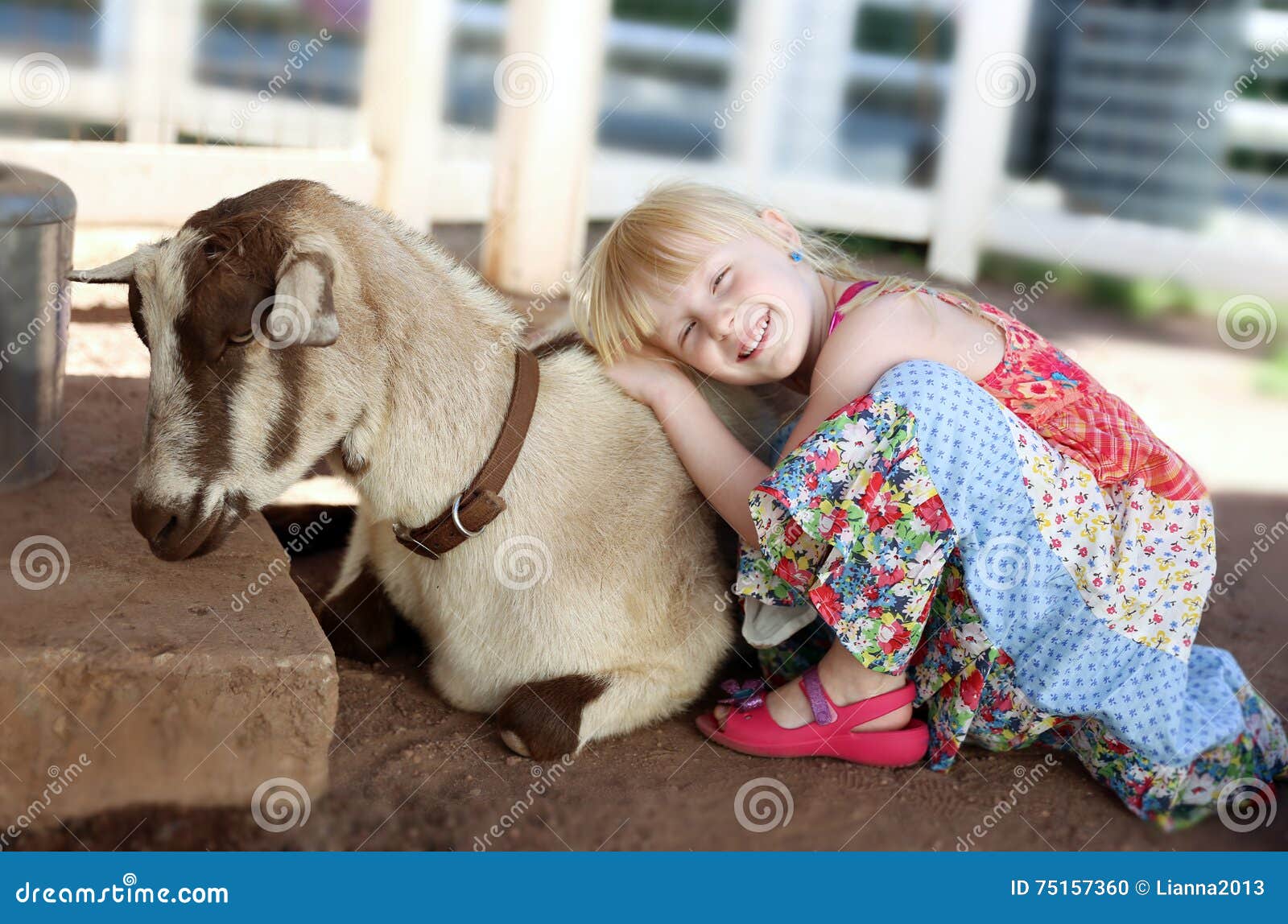 Little Smiling Girl Hugging the Goat Stock Photo - Image of farm ...