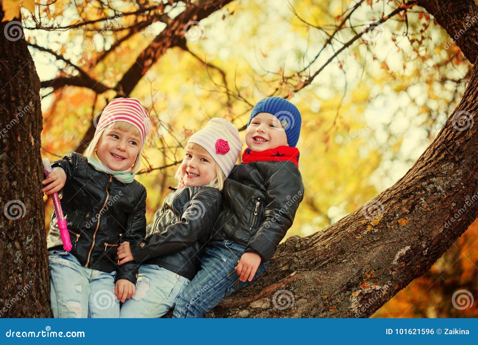 Little Smiling Kids Sitting on the Tree in Autumn Park. Stock Photo ...