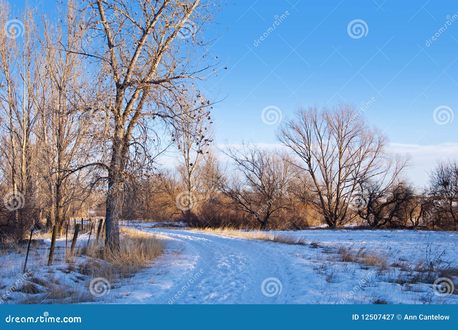 Little Snowy Path through the Prairie Stock Image - Image of light ...