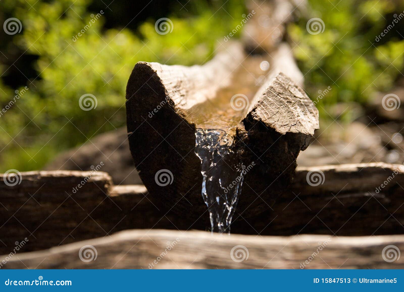 Little spring stock image. Image of nature, wood, stream - 15847513