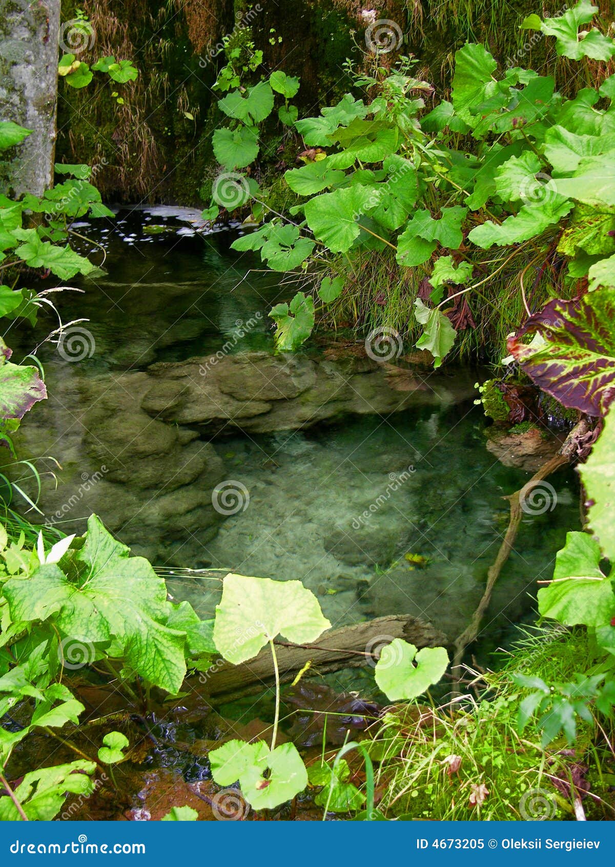 Little spring stock image. Image of landscape, view, stream - 4673205