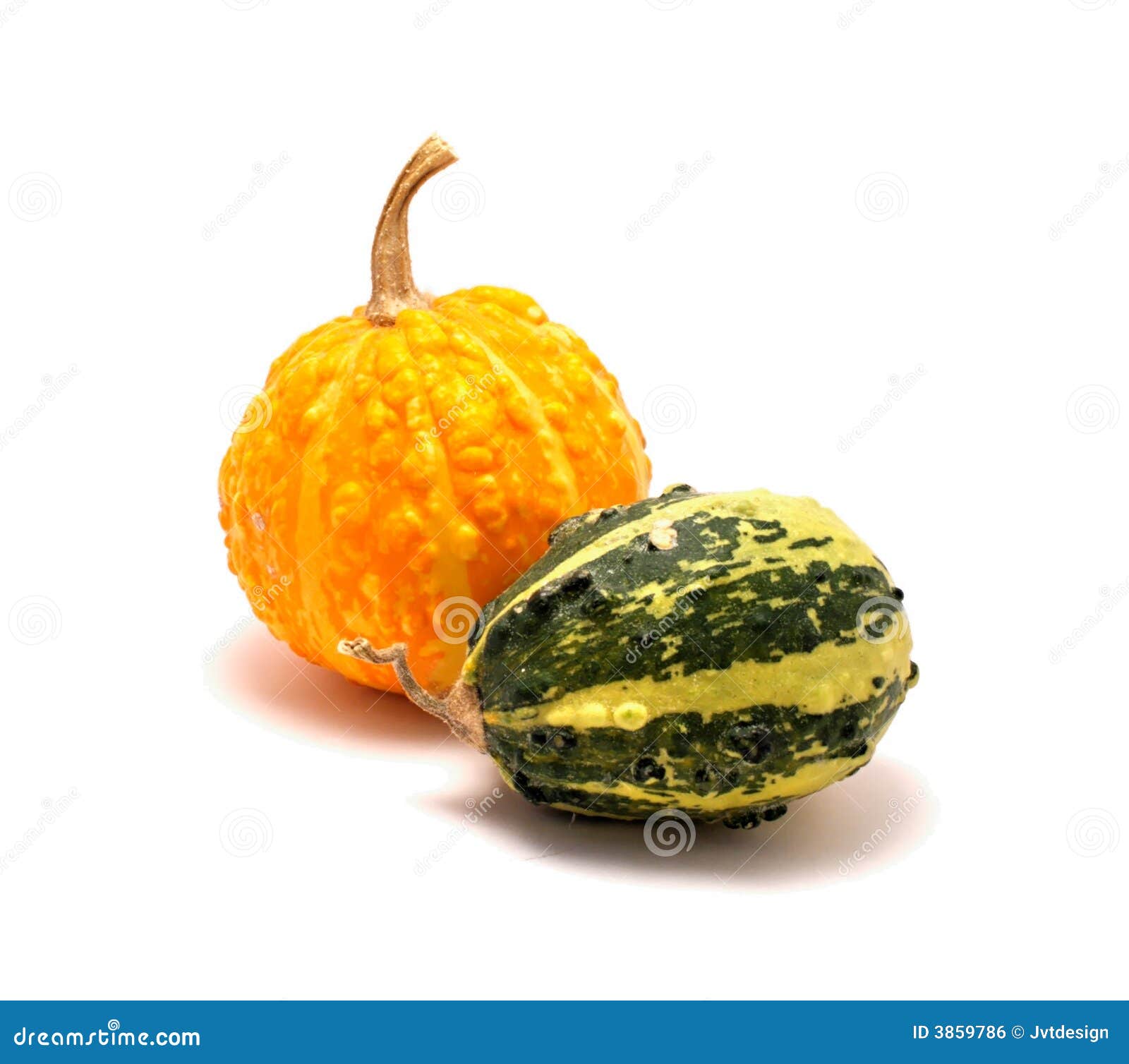 Little squash stock photo. Image of plant, marrow, natural - 3859786