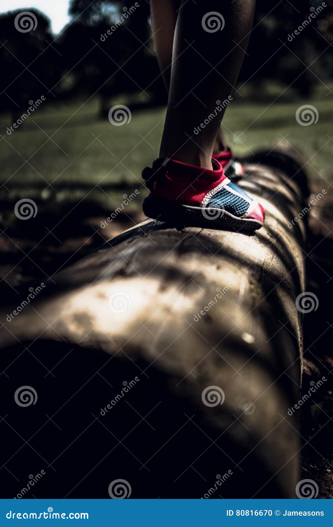 Little steps stock photo. Image of little, feet, steps - 80816670