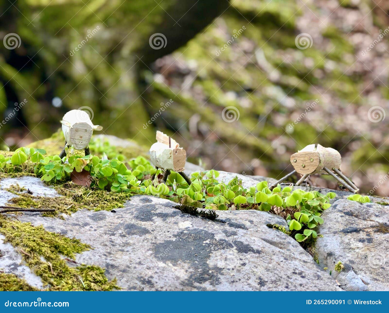 Stick Animals with Small Natural Growth on a Rock Stock Image - Image ...