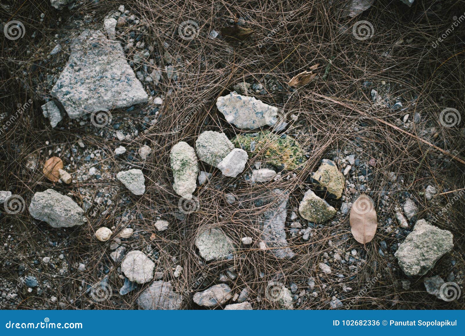 Little Stone ,mortar , Dead Leaves on Floor Top View Stock Photo ...