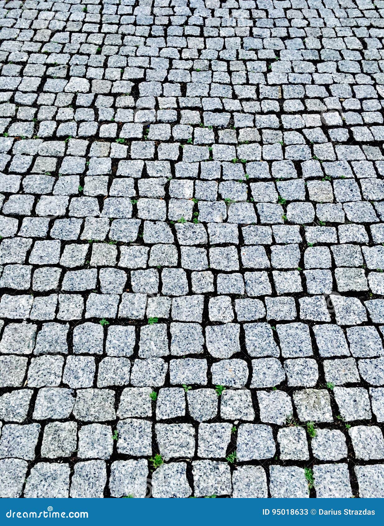 Little stone pavement stock image. Image of grey, texture - 95018633