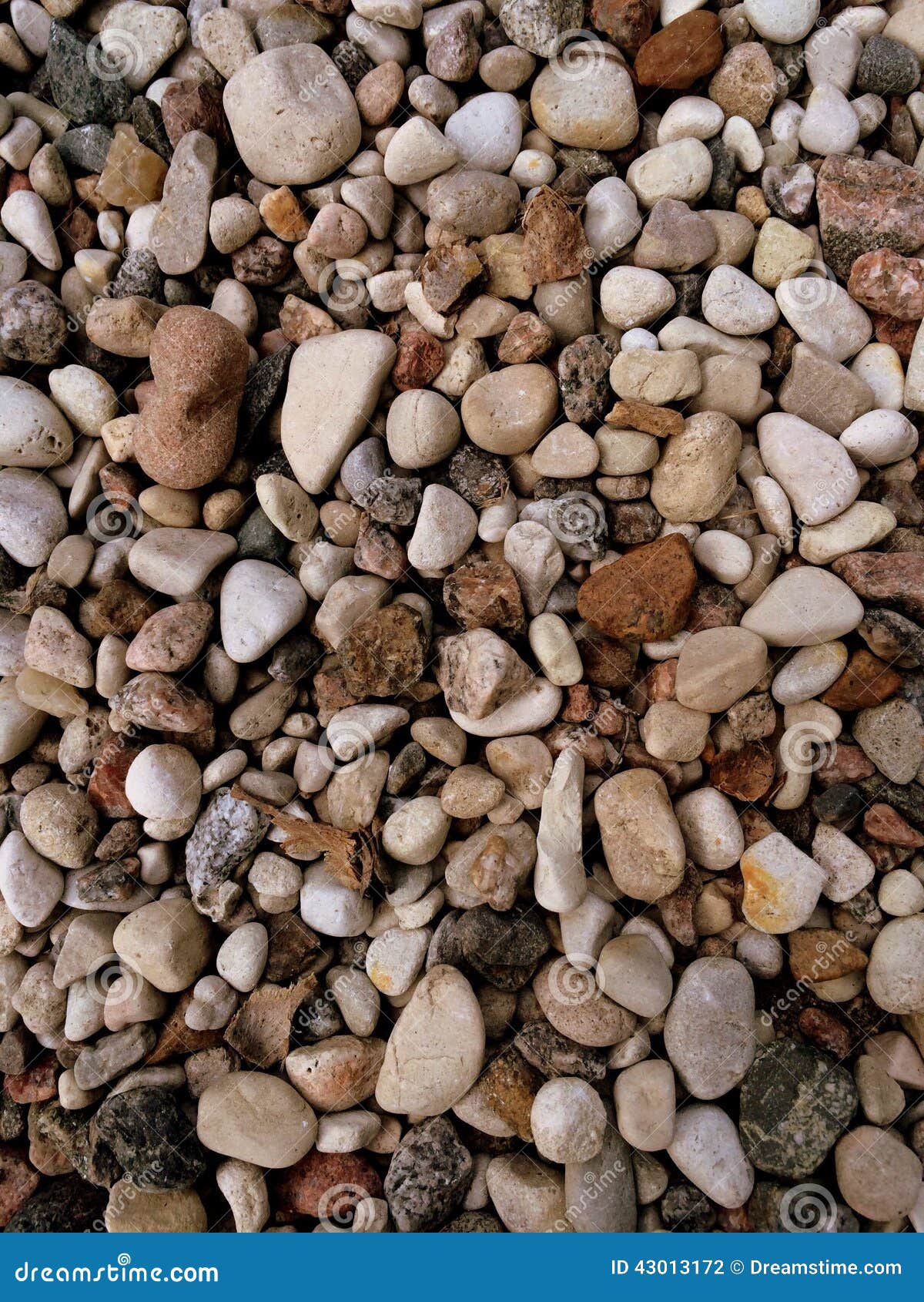 Little stones stock photo. Image of little, natural, abstract - 43013172
