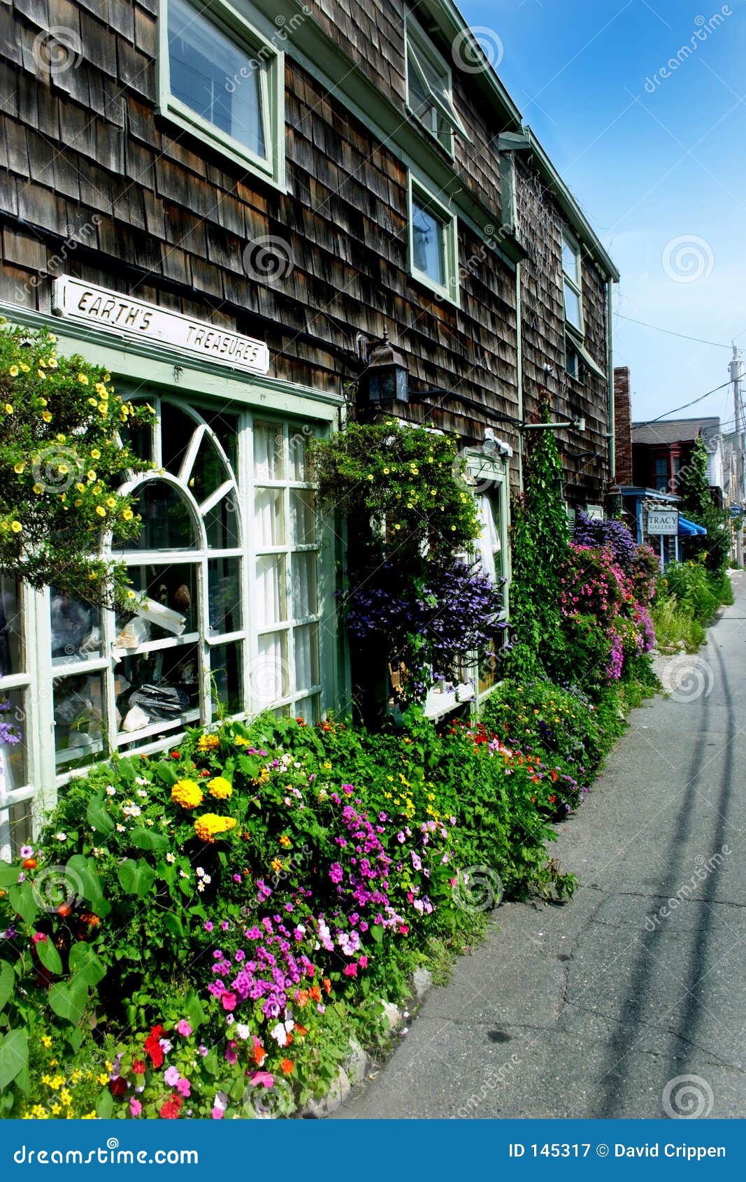 Little Store stock image. Image of flower, store, massachuesetts - 145317