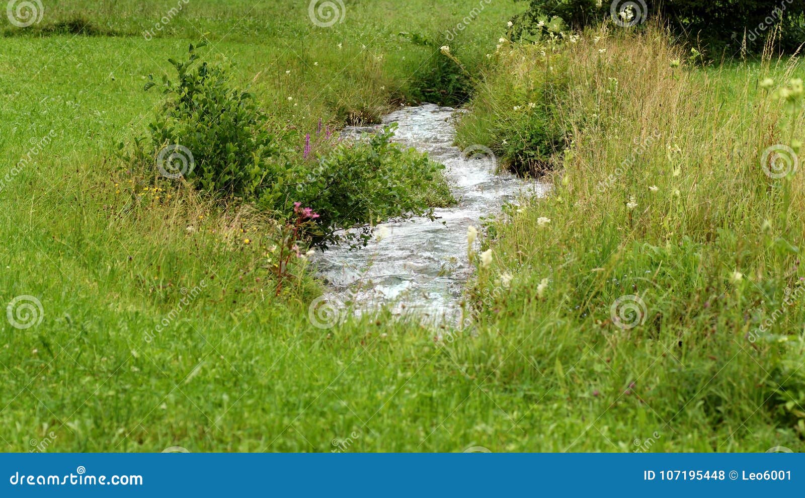 A Little Stream Flows through a Meadow Stock Photo - Image of scene ...