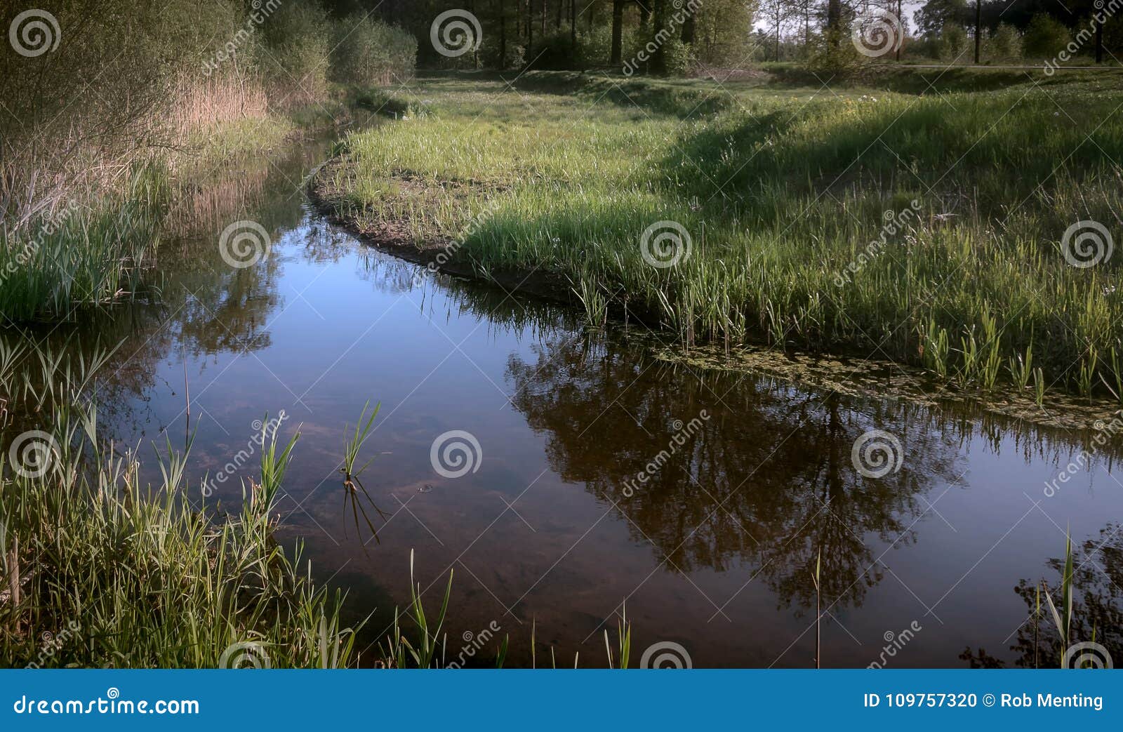 Little Stream in a Grassy Field Stock Photo - Image of water, streaming ...