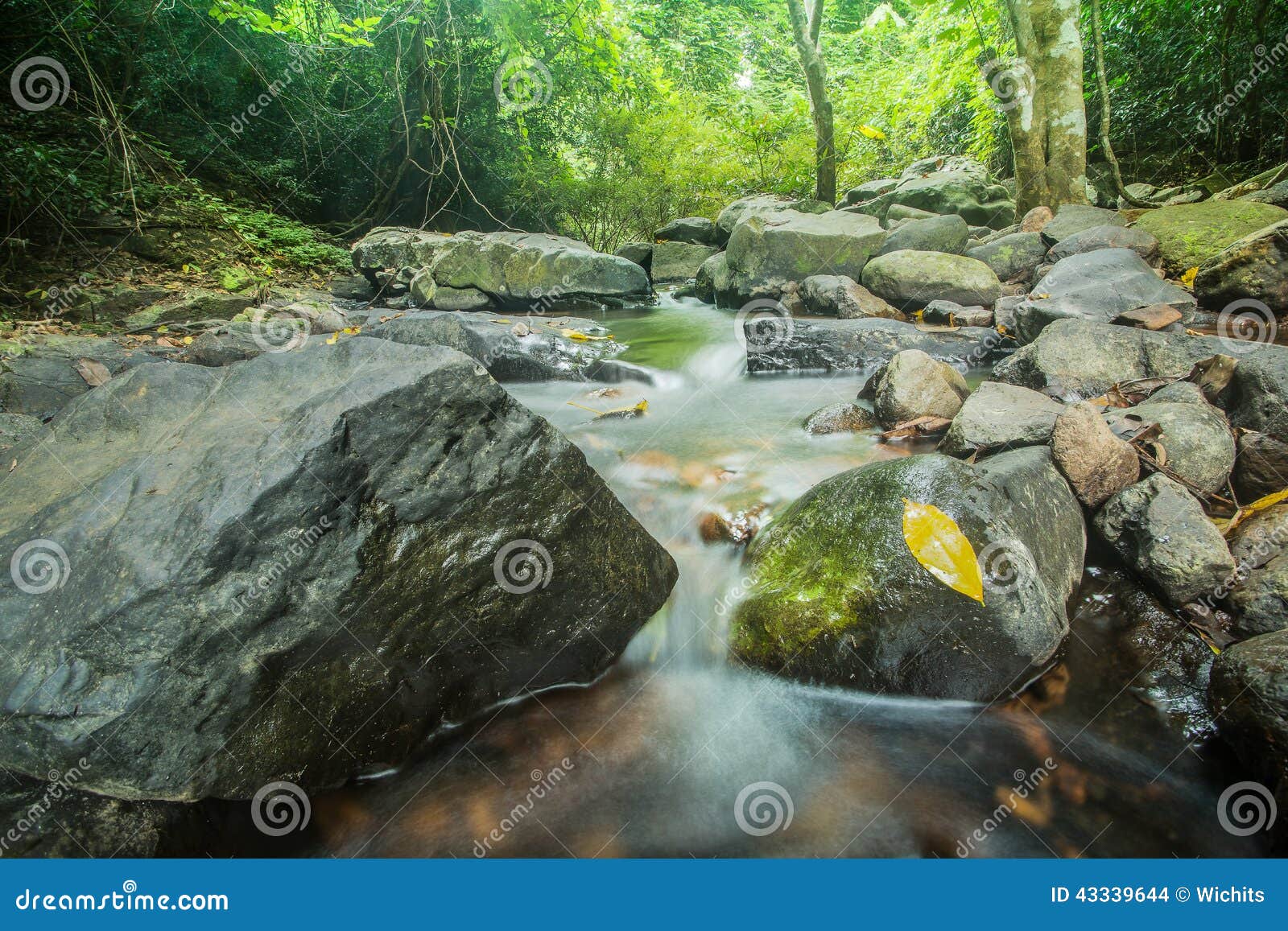 Little Stream stock photo. Image of nature, rocks, flowing - 43339644