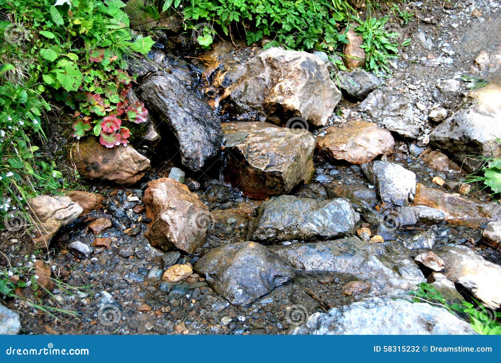 Little stream with stones stock photo. Image of waterfall - 58315232
