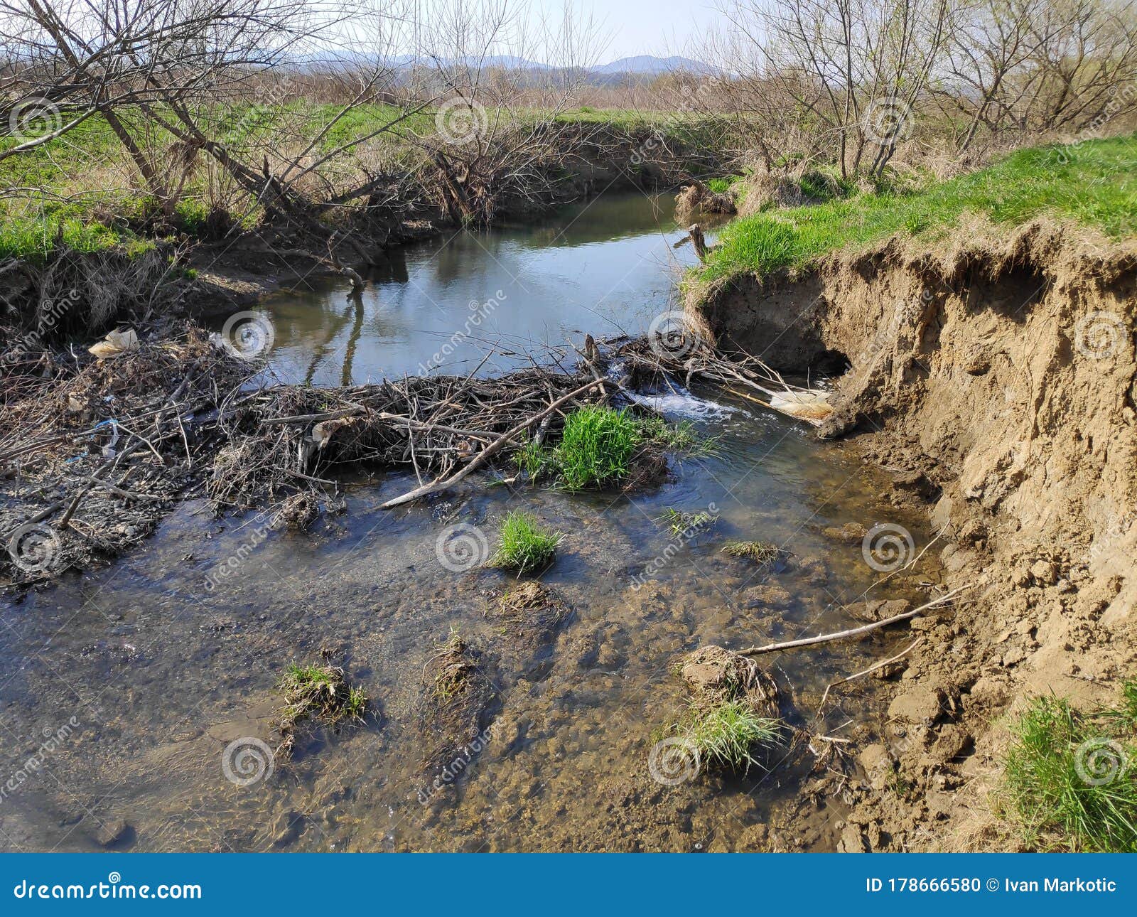 Little Stream with Little Waterfall and Natural Obstacles, Lowland Area ...
