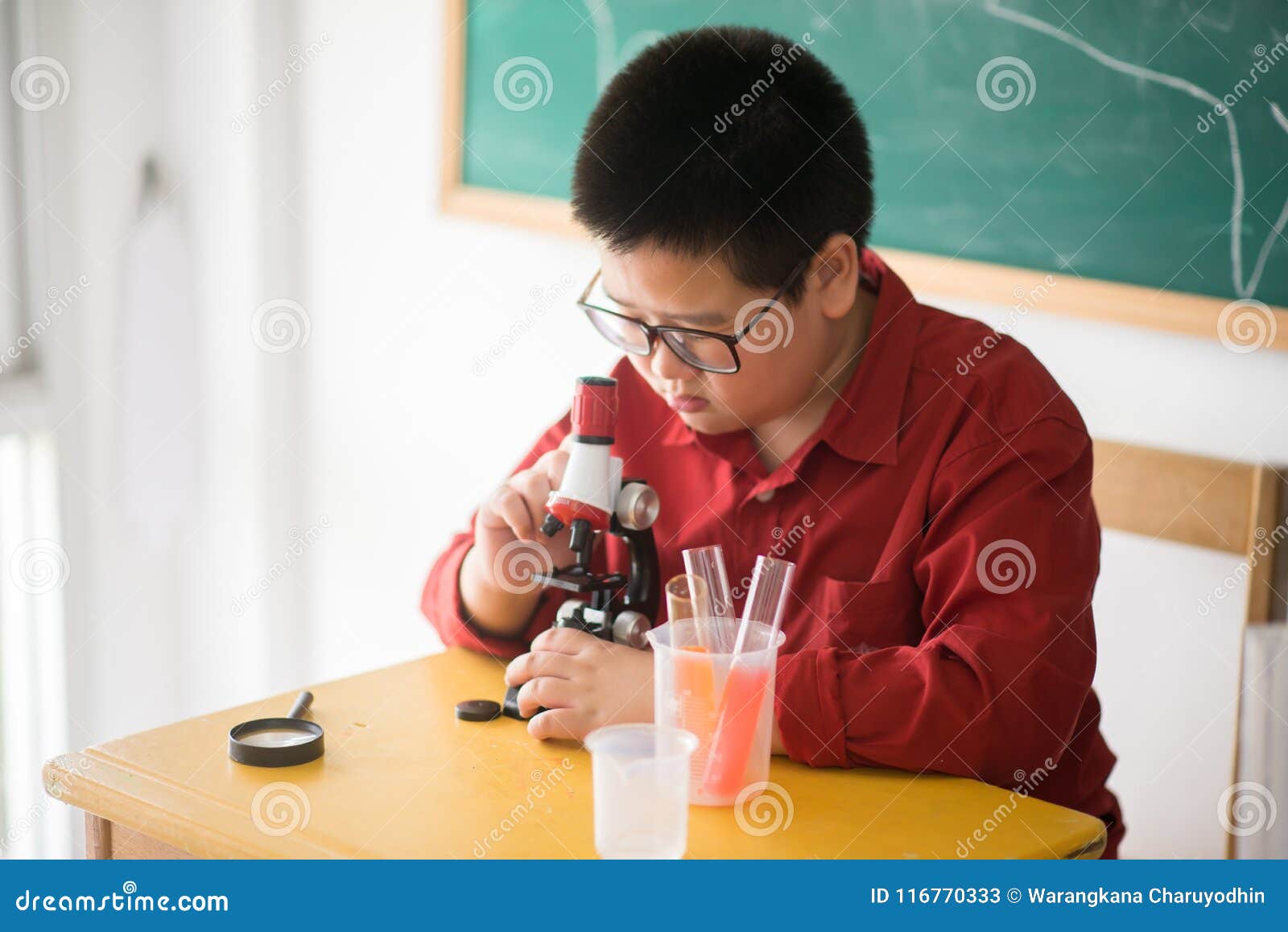 Little Students Study Science in Classroom Stock Image - Image of kids ...