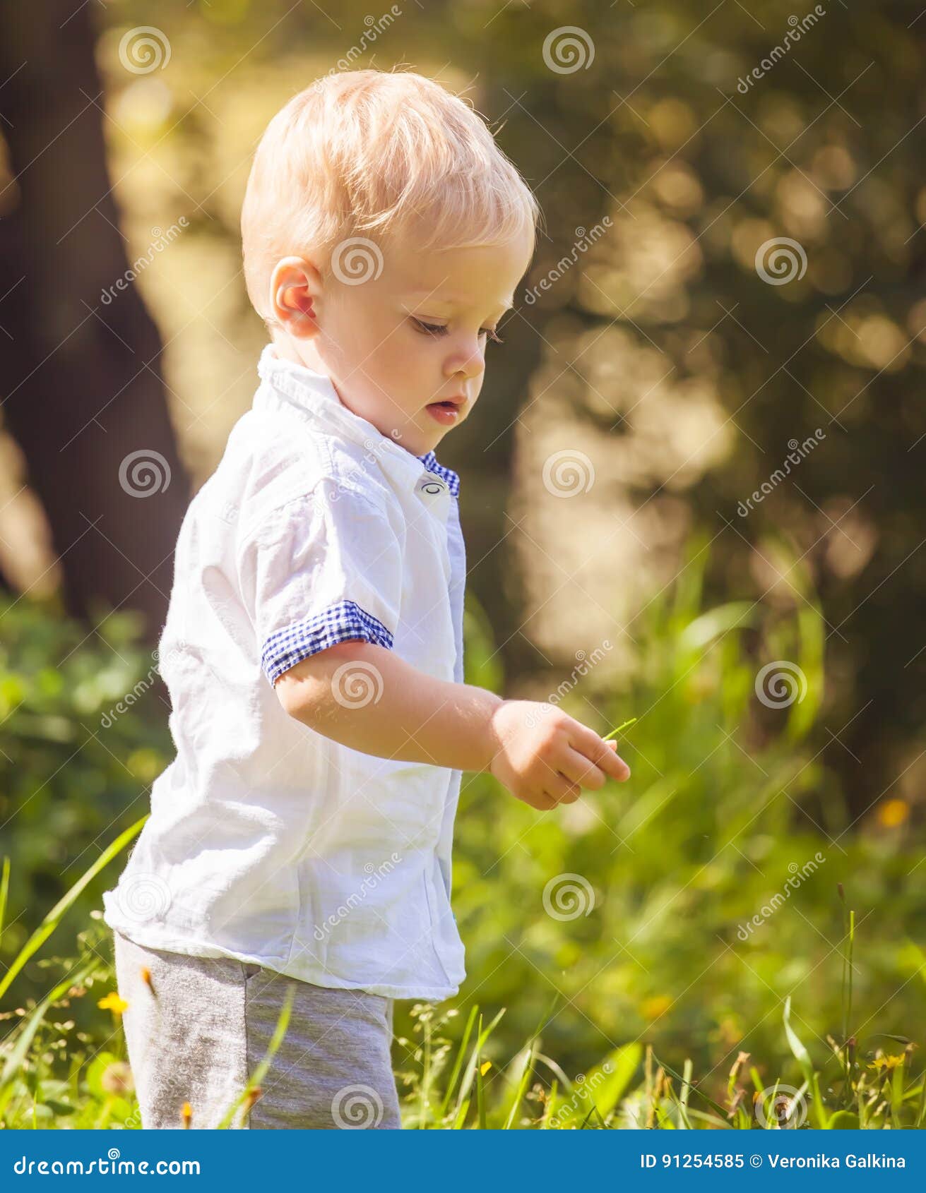 Little summer boy stock image. Image of garden, outside - 91254585