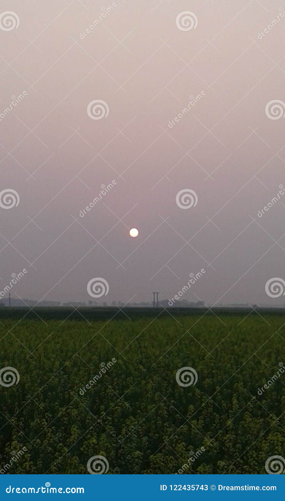 Little Sun stock image. Image of sunset, beautiful, little - 122435743