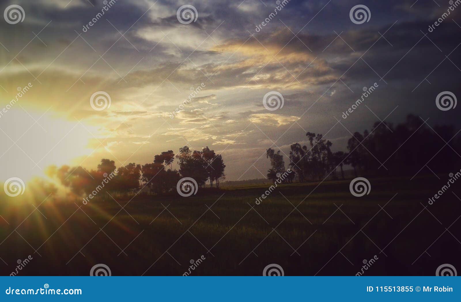 Little sun stock image. Image of cool, little, sunrise - 115513855