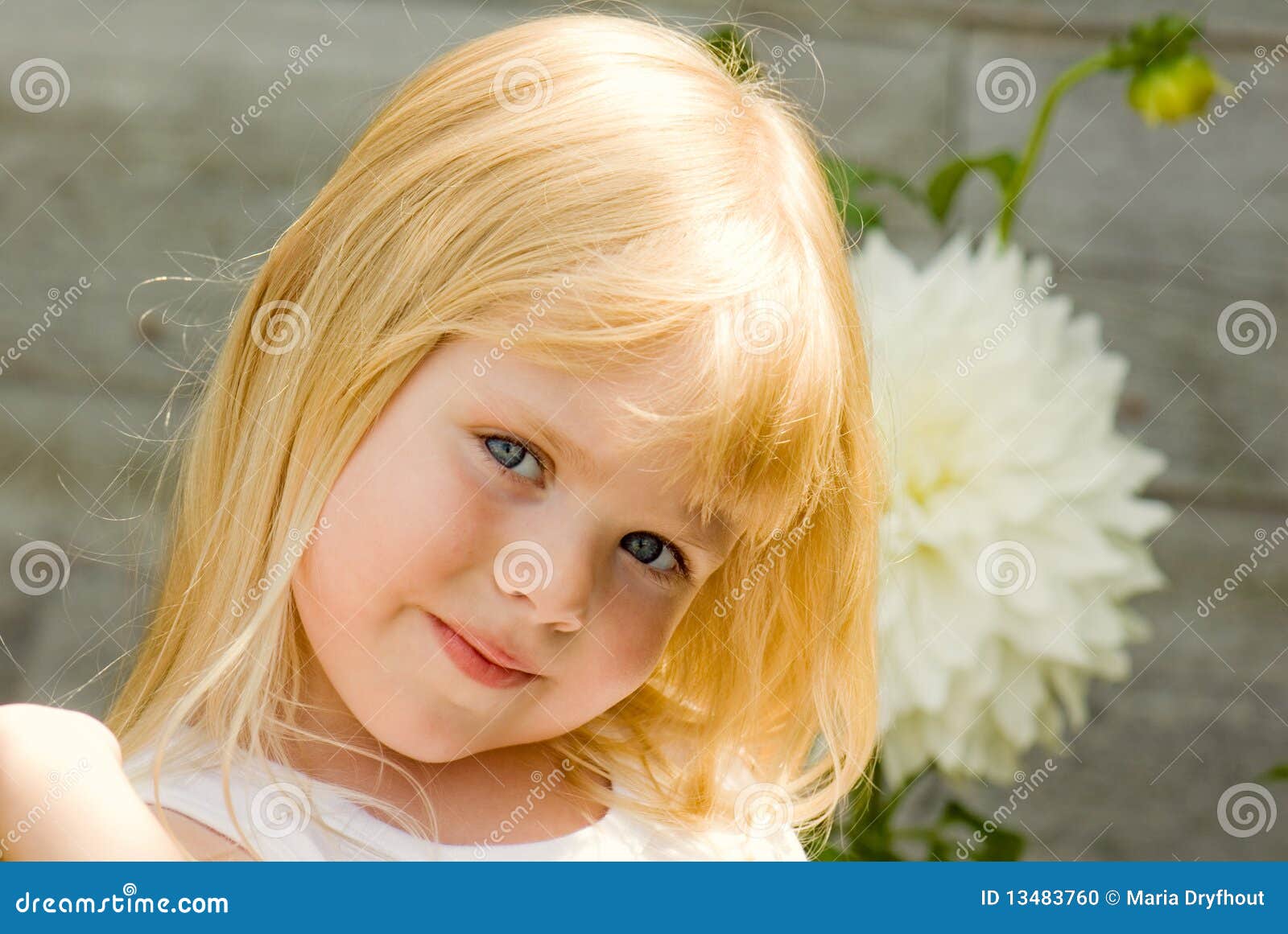 Little Sunshine stock photo. Image of country, pretty - 13483760