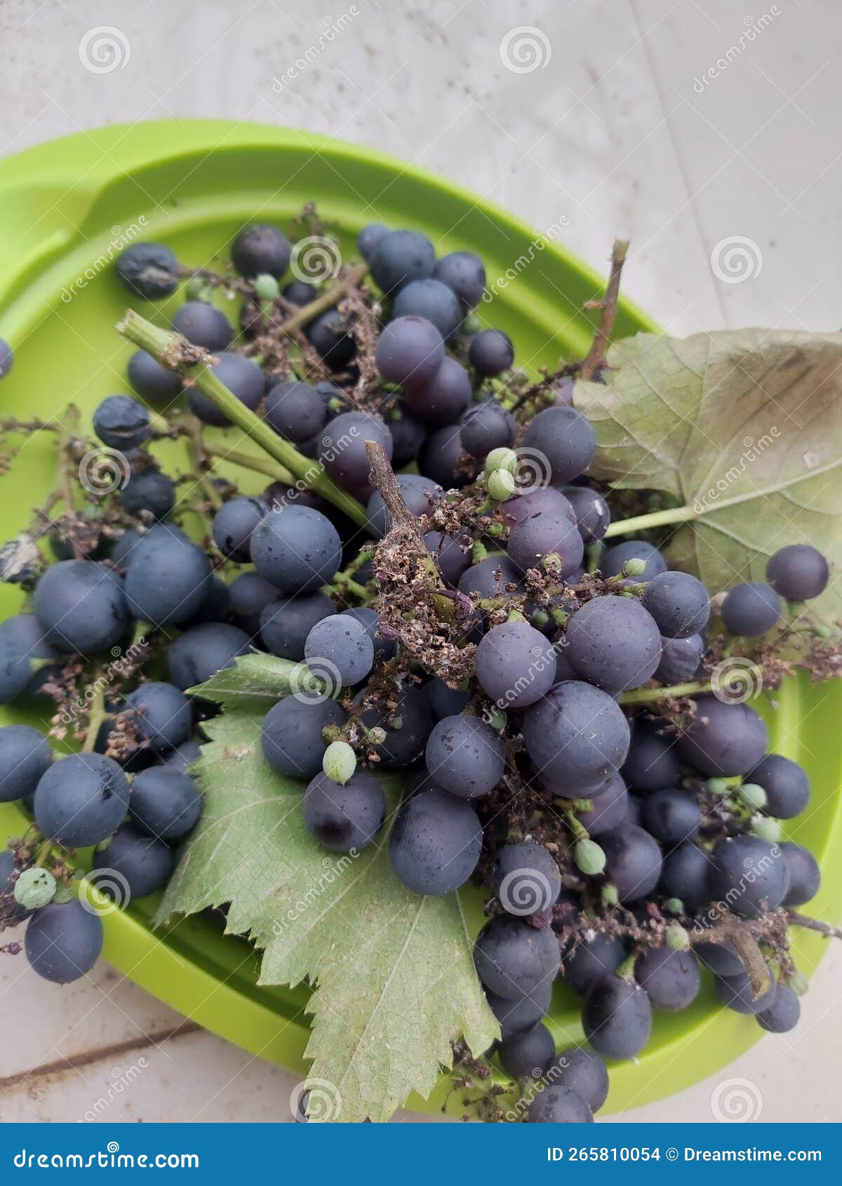 Little Sweet Black Grape Fruit Stock Photo - Image of branch, flower ...