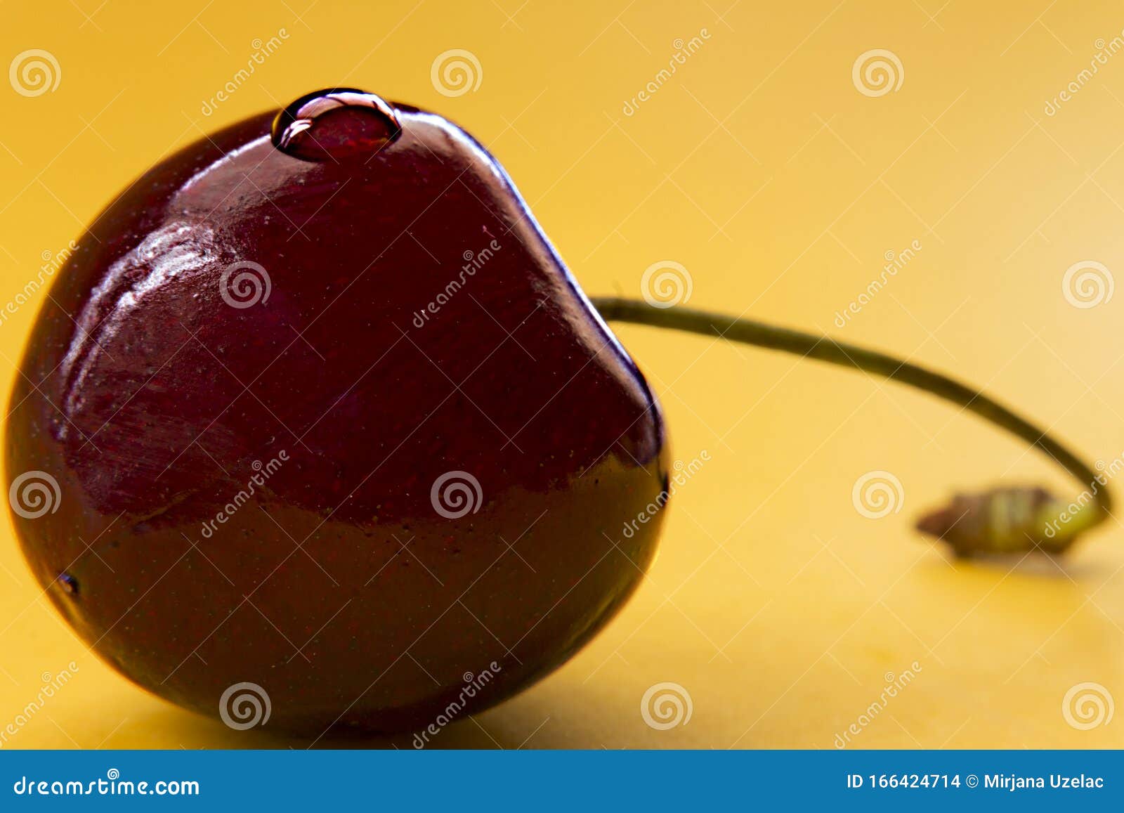 Little sweet red cherry stock photo. Image of cherry - 166424714