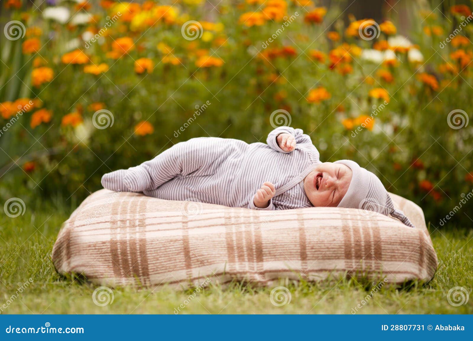 Little Sweet Sleeping Baby Outdoors Stock Image - Image of child, lying ...
