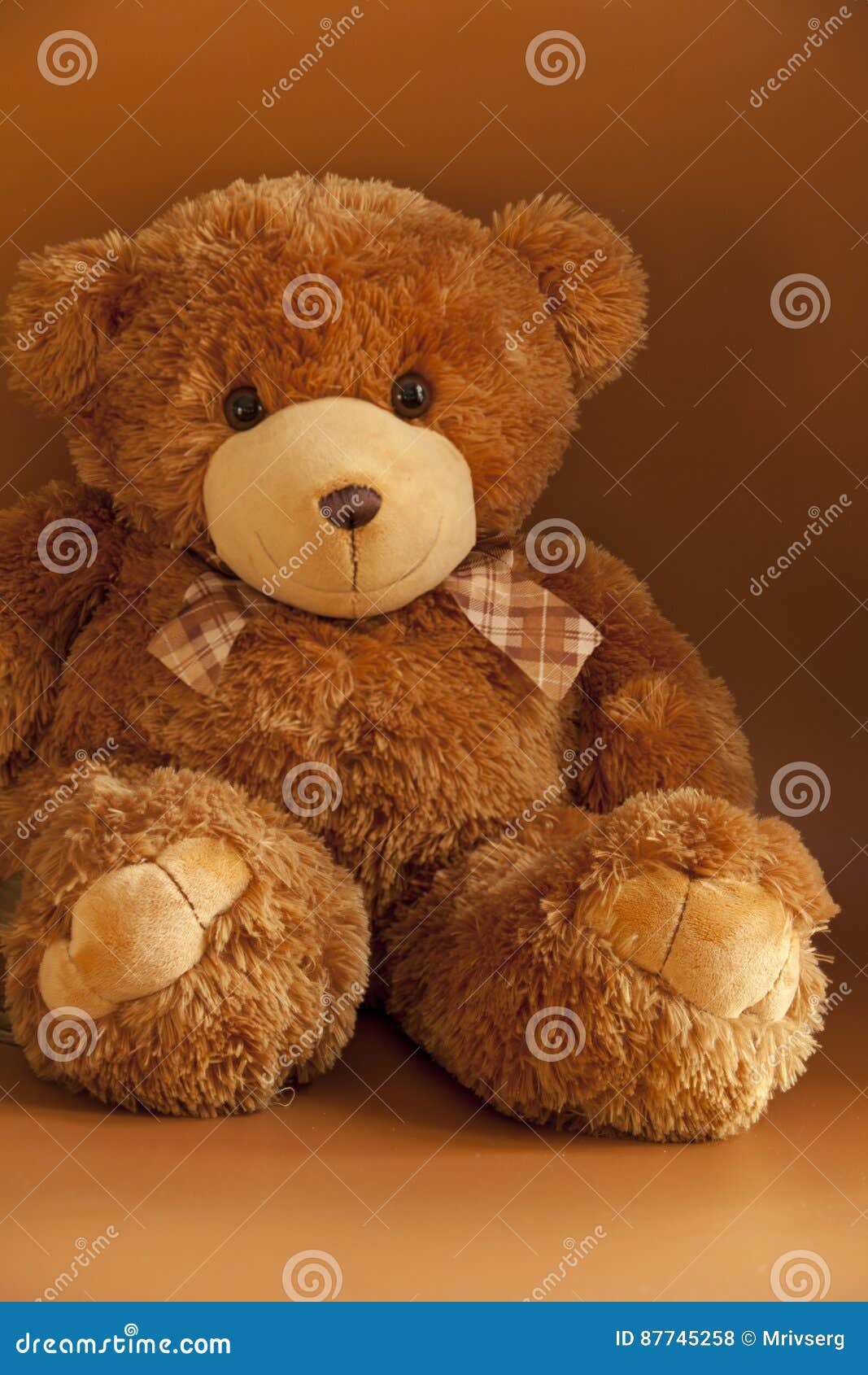 Little Teddy bear stock photo. Image of celebration, endear - 87745258