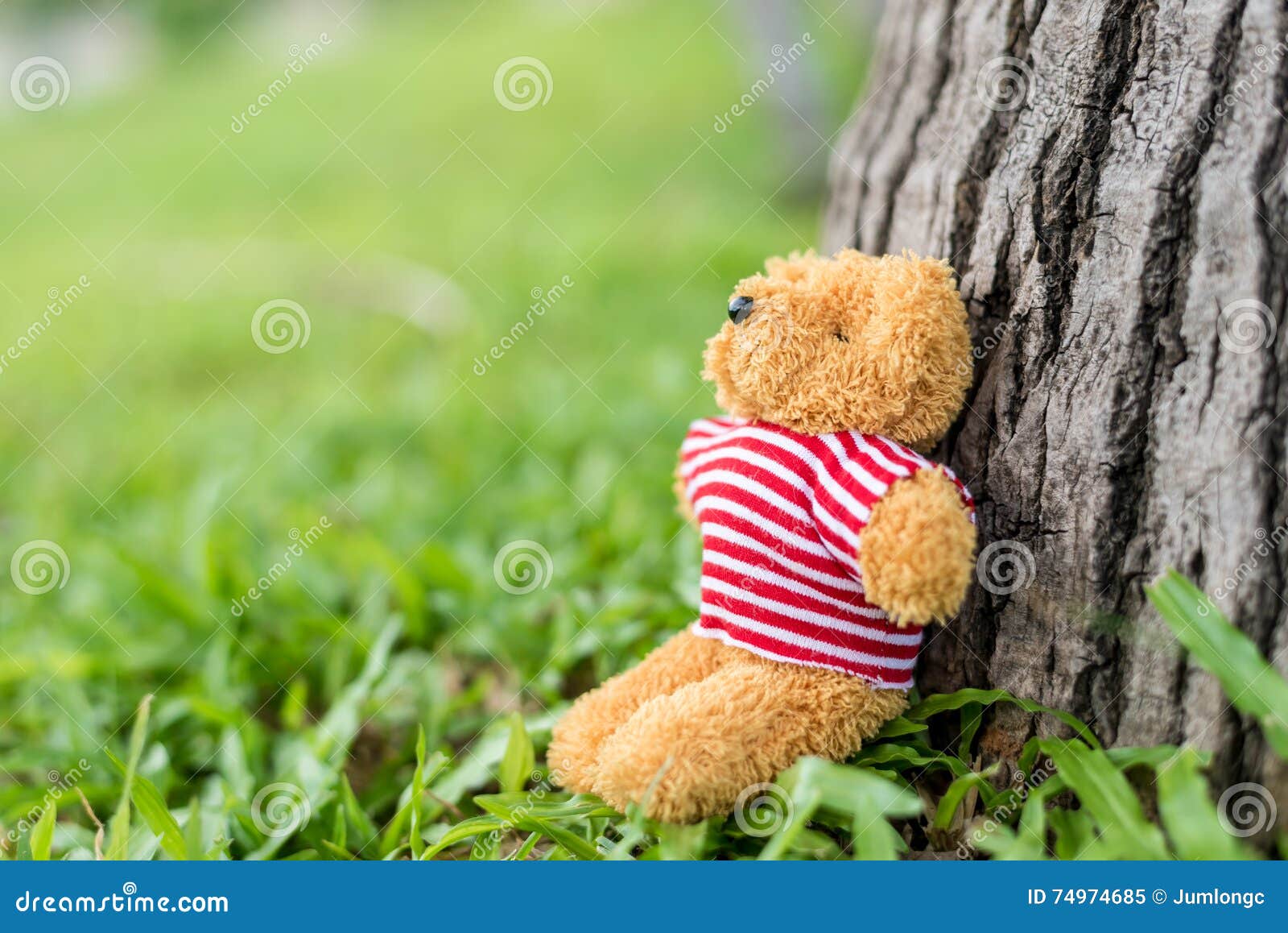 A little teddy bear. stock image. Image of nature, vintage - 74974685