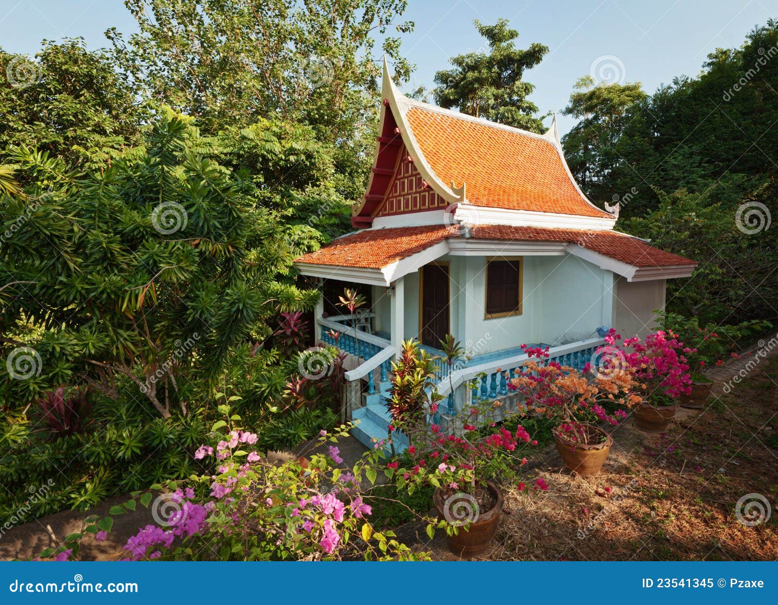 Thai House Cat, Siamese Cat Species Lay On Wooden Stock Photography ...