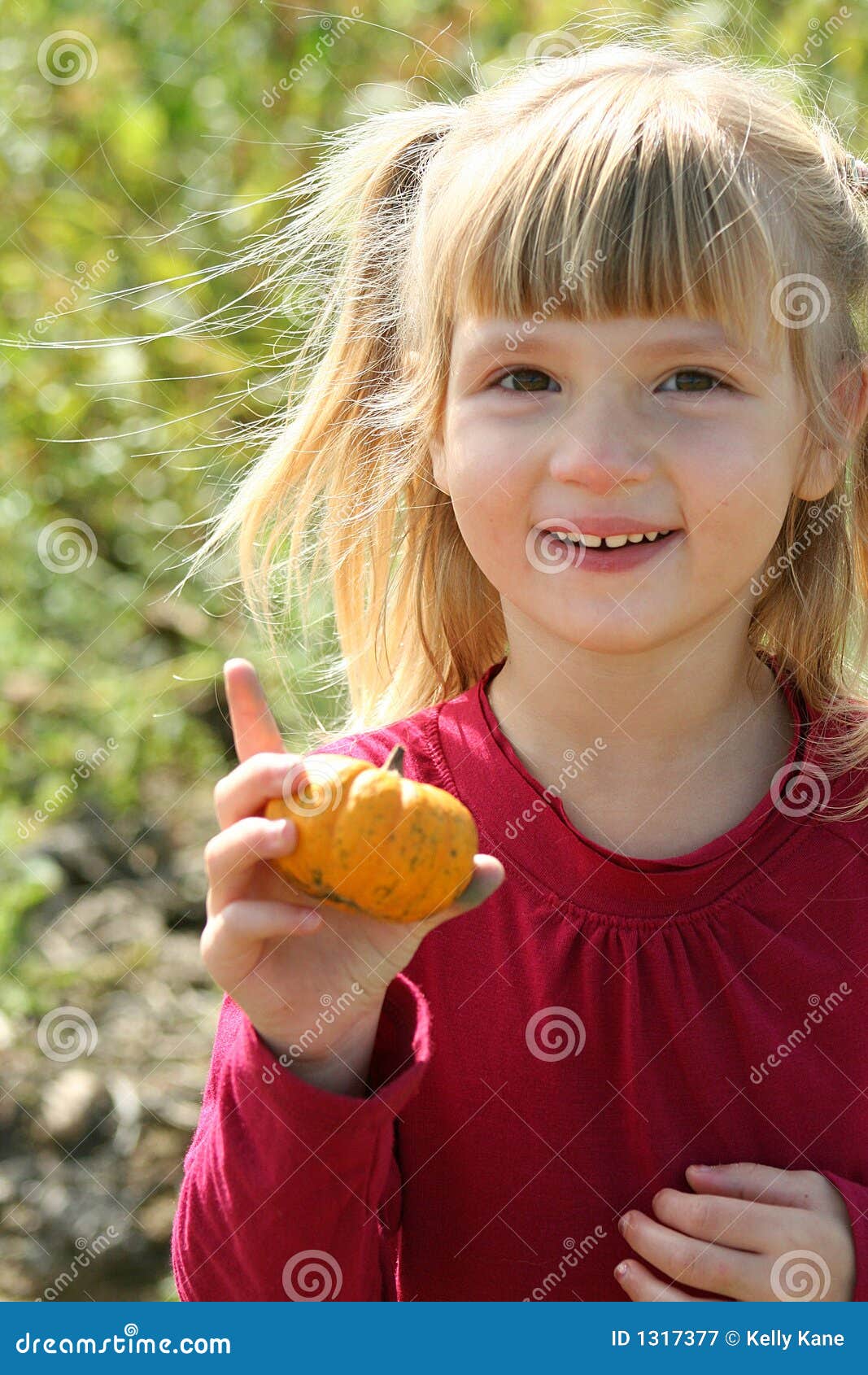 Little Things stock image. Image of halloween, happy, cute - 1317377
