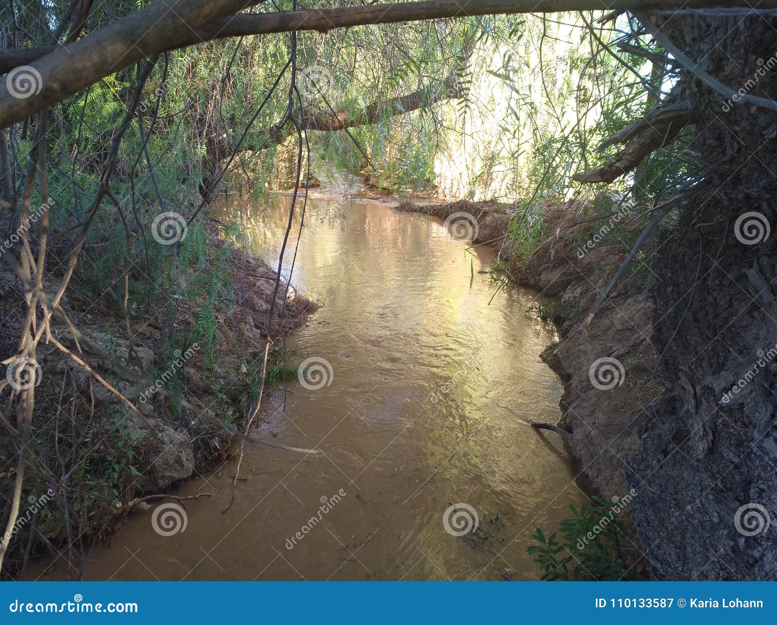 Little thunder stock image. Image of sloot, water, little - 110133587