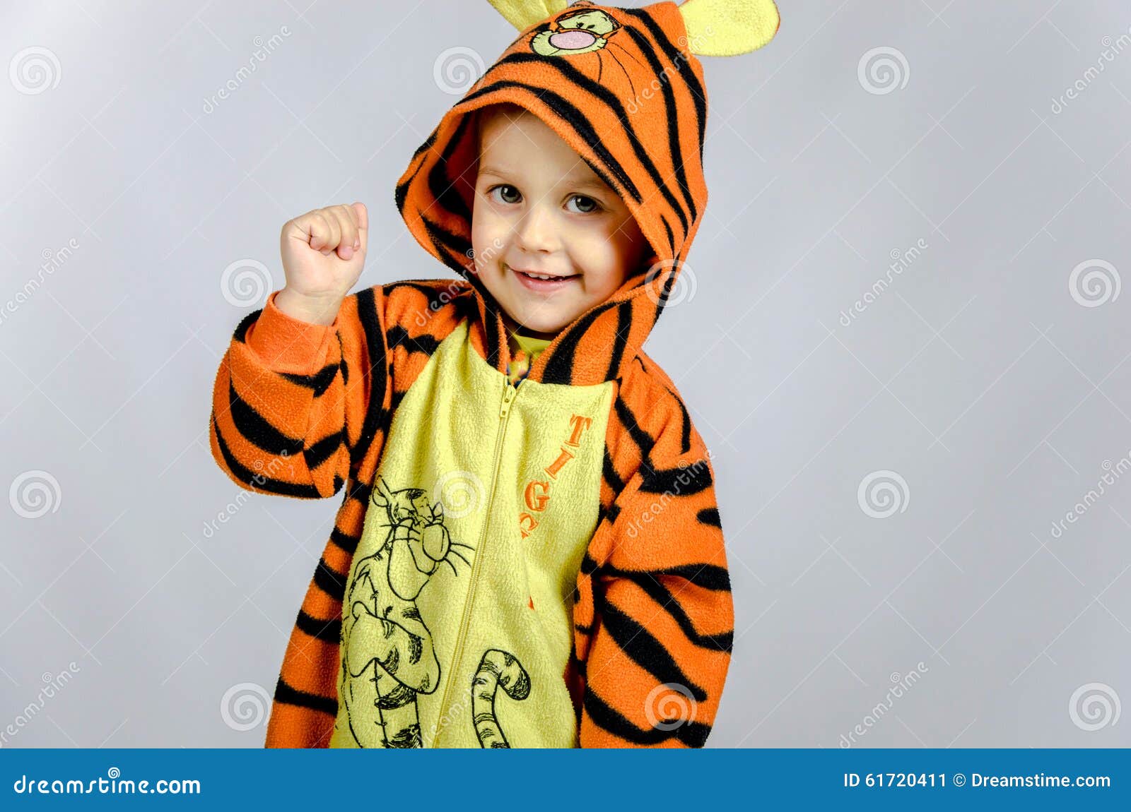 Little tiger stock image. Image of kind, smiling, dreams - 61720411