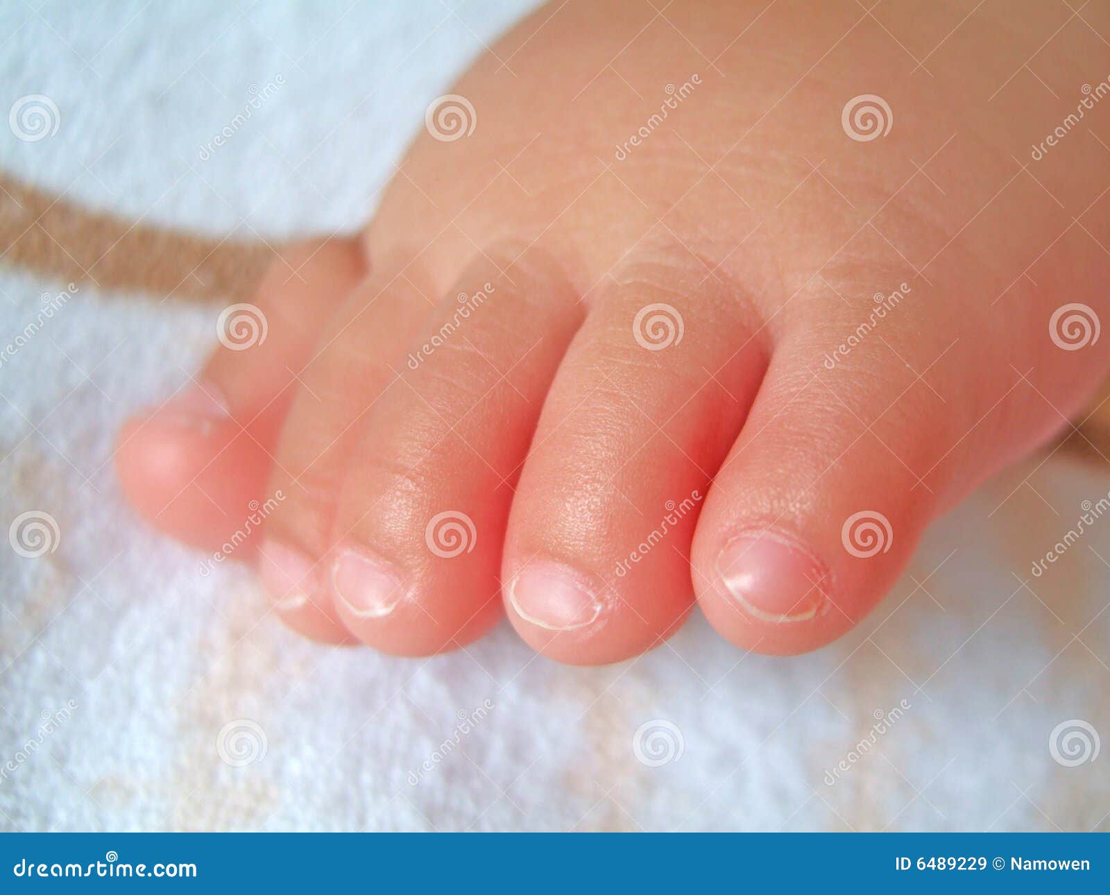 Little toes stock image. Image of marriage, five, angel - 6489229