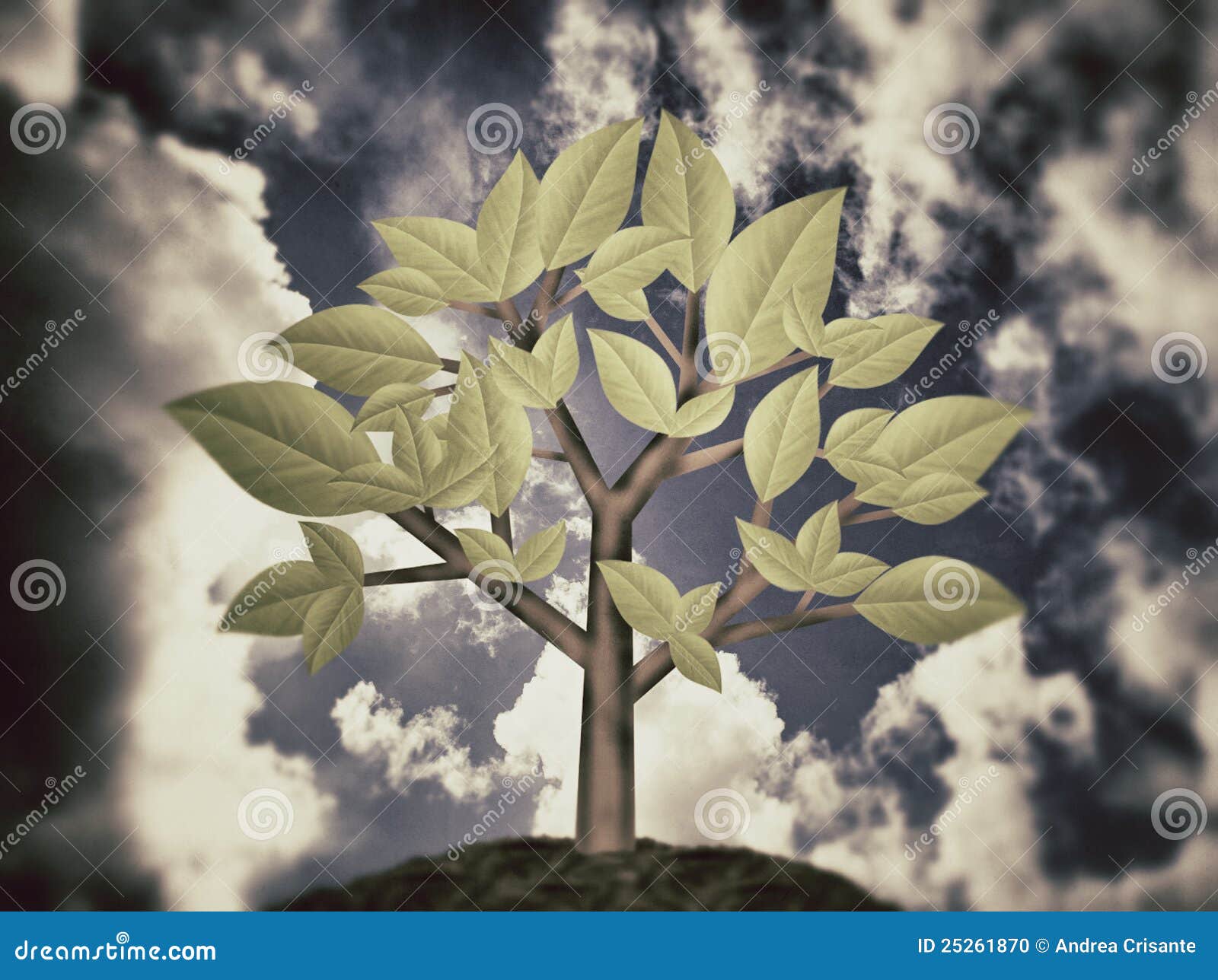 Little tree stock photo. Image of green, agriculture - 25261870