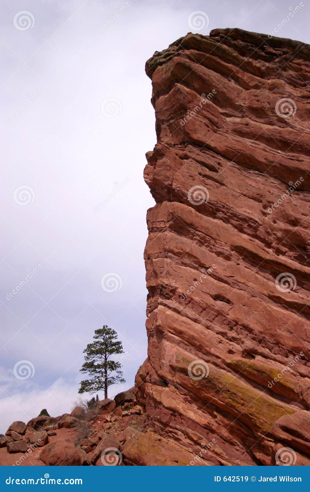 Little tree and big rock stock image. Image of tree, adventure - 642519