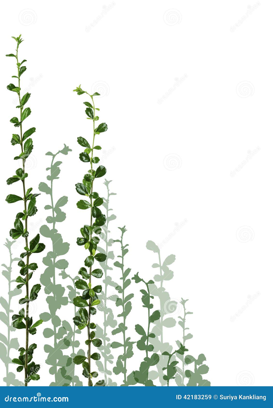 Little tree & creeper stock illustration. Illustration of climber ...