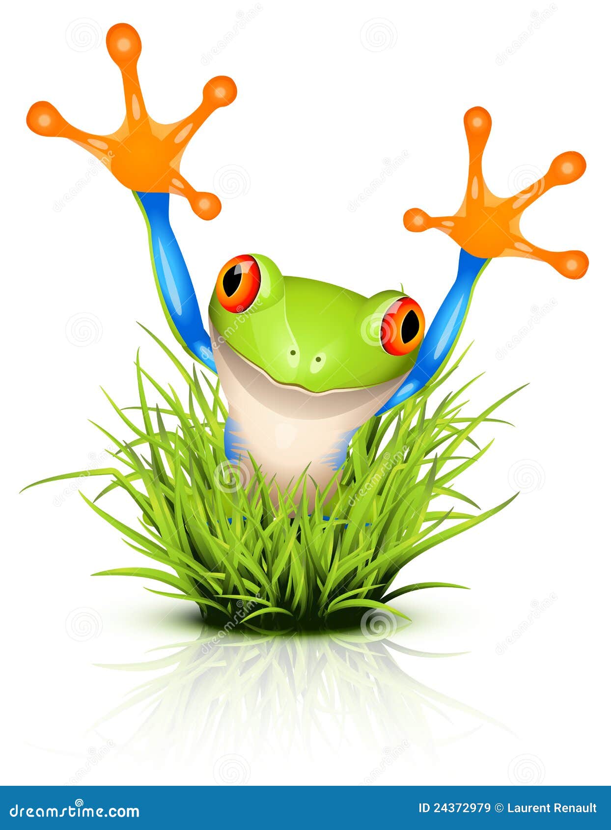 Rainforest Frog Clipart