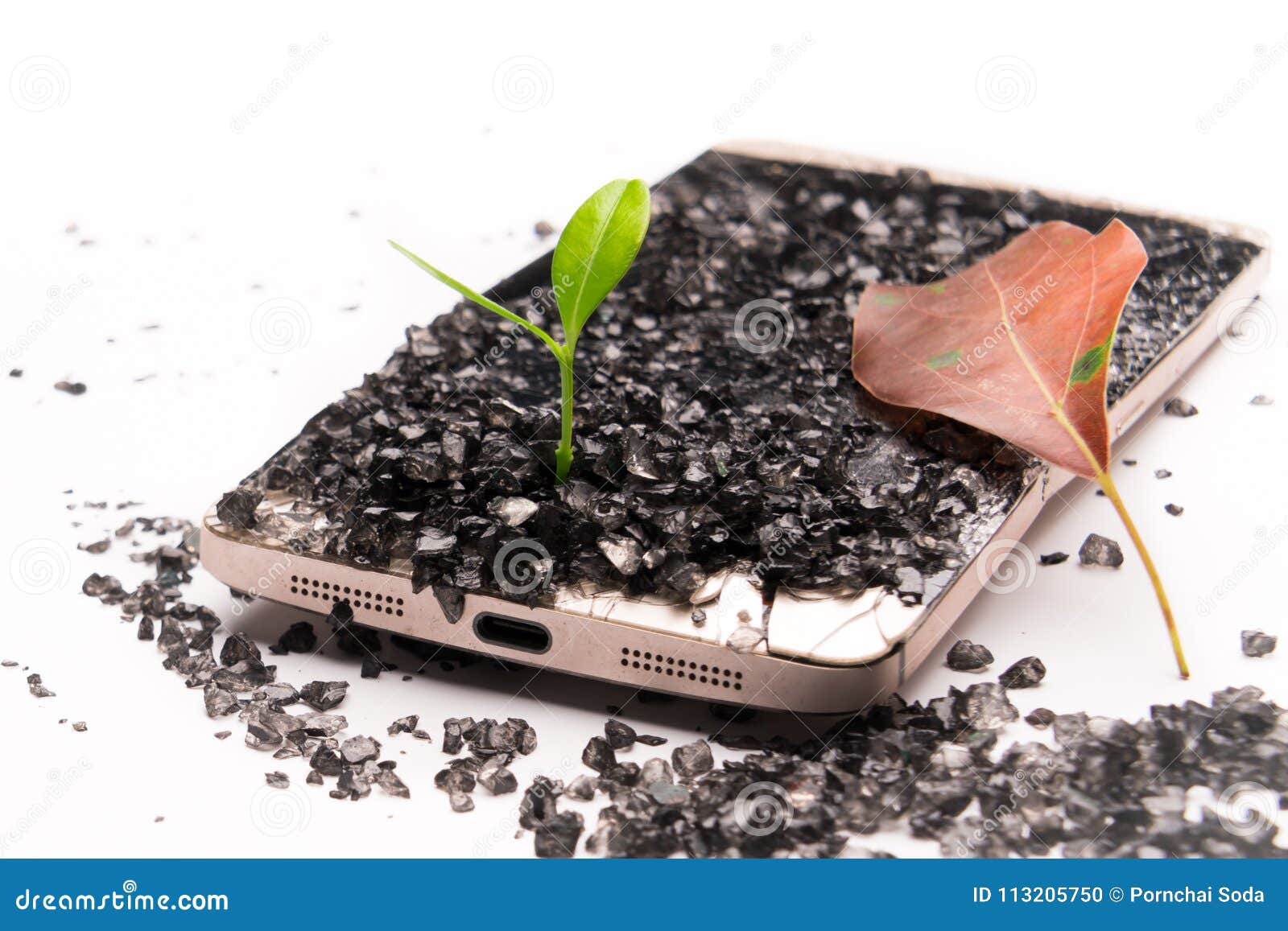 Little Tree Growing on the Broken Smartphone, Environment, Knowledge ...