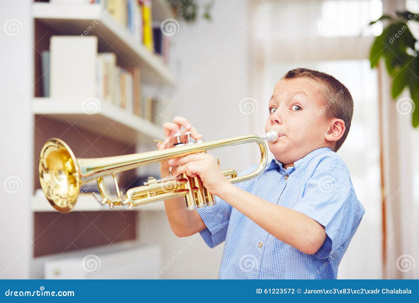 Little trumpeter stock photo. Image of little, develop - 61223572