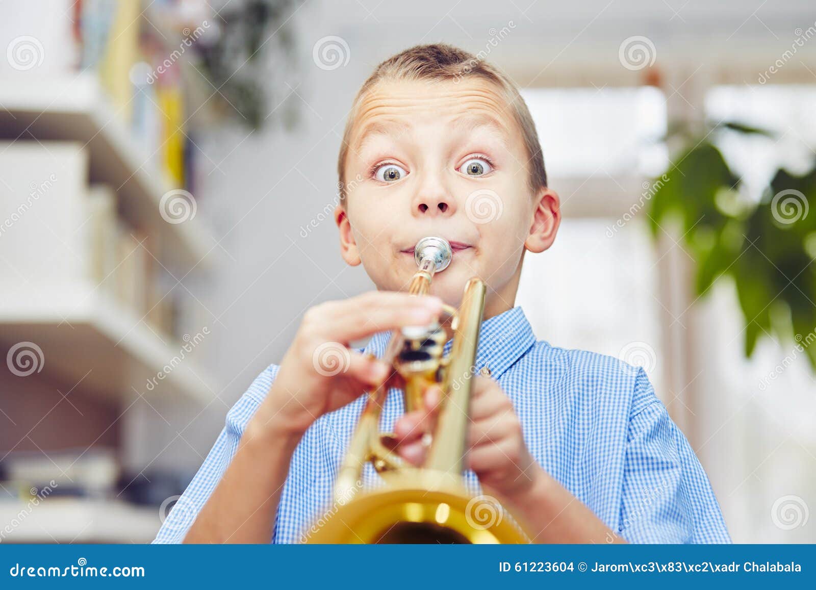 Little trumpeter stock photo. Image of development, home - 61223604